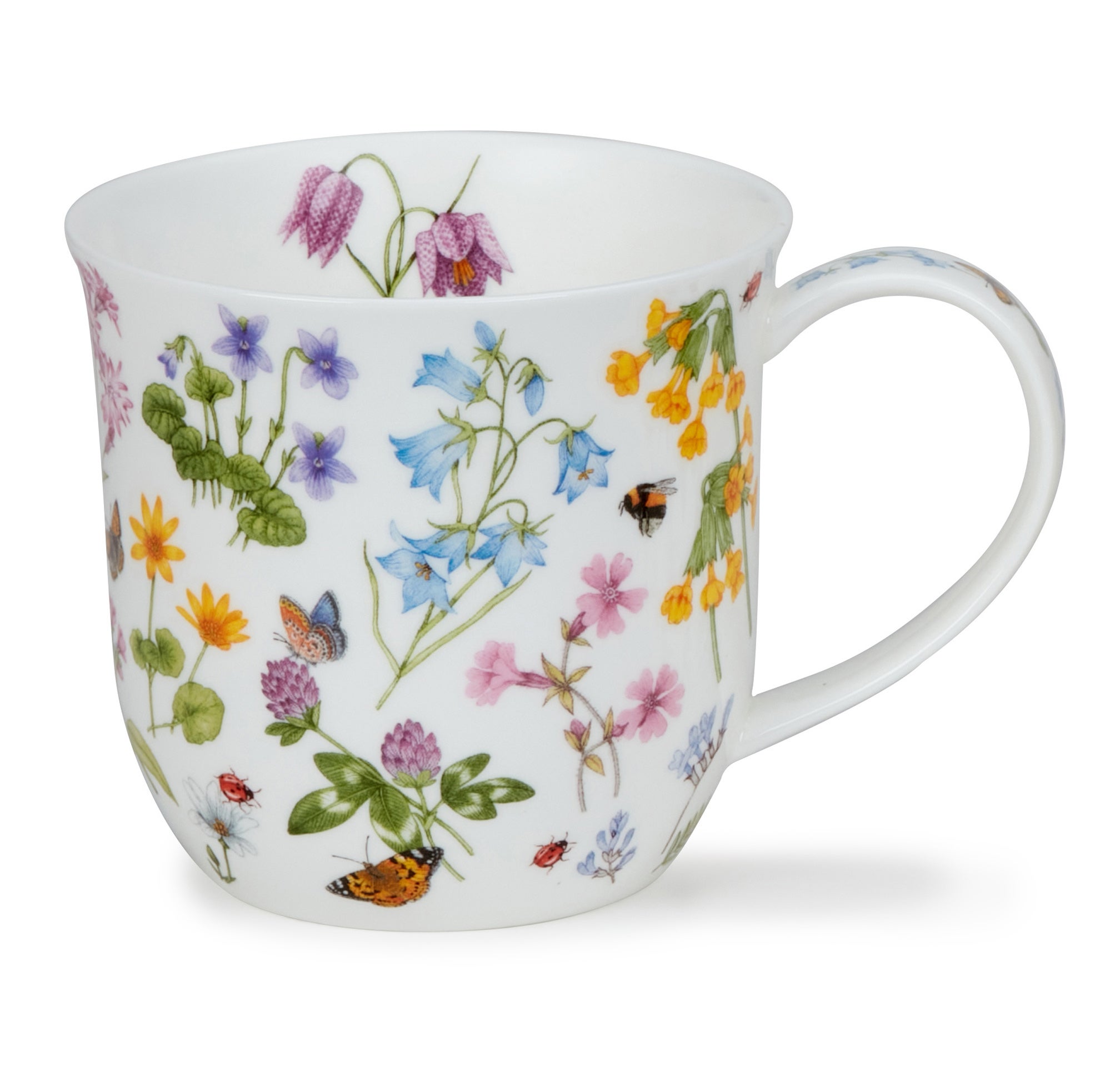 Dunoon Cumbrae Wild Flowers Harebell | LONDON PRIDE BRITISH SHOP